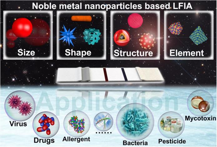 Tailoring noble metal nanoparticle designs to enable sensitive lateral ...