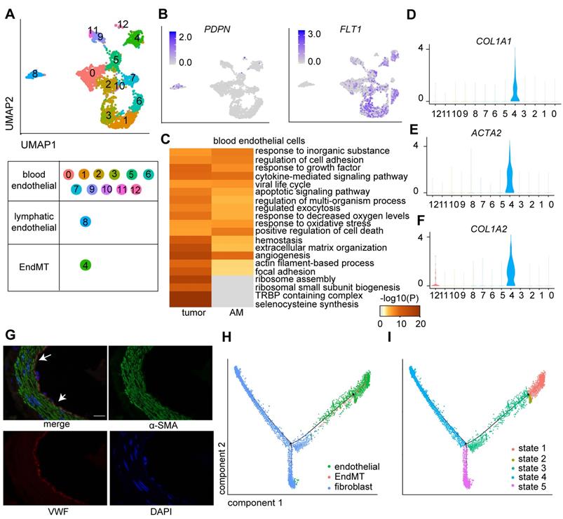 Single-cell RNA sequencing reveals a pro-invasive cancer-associated ...