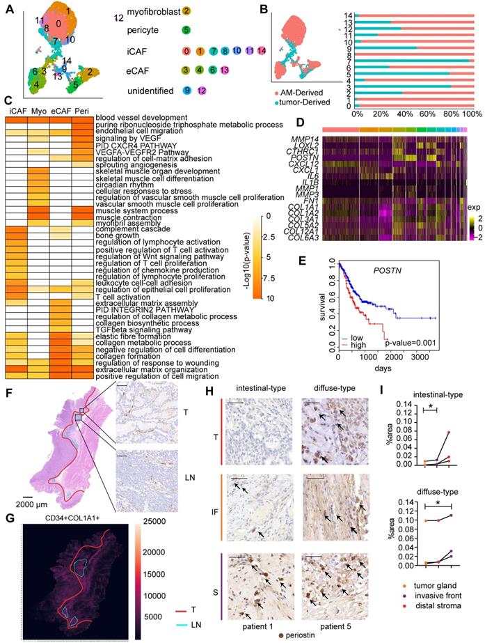 Single-cell RNA sequencing reveals a pro-invasive cancer-associated ...