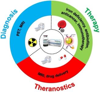 Repurposing ferumoxytol: Diagnostic and therapeutic applications of an ...