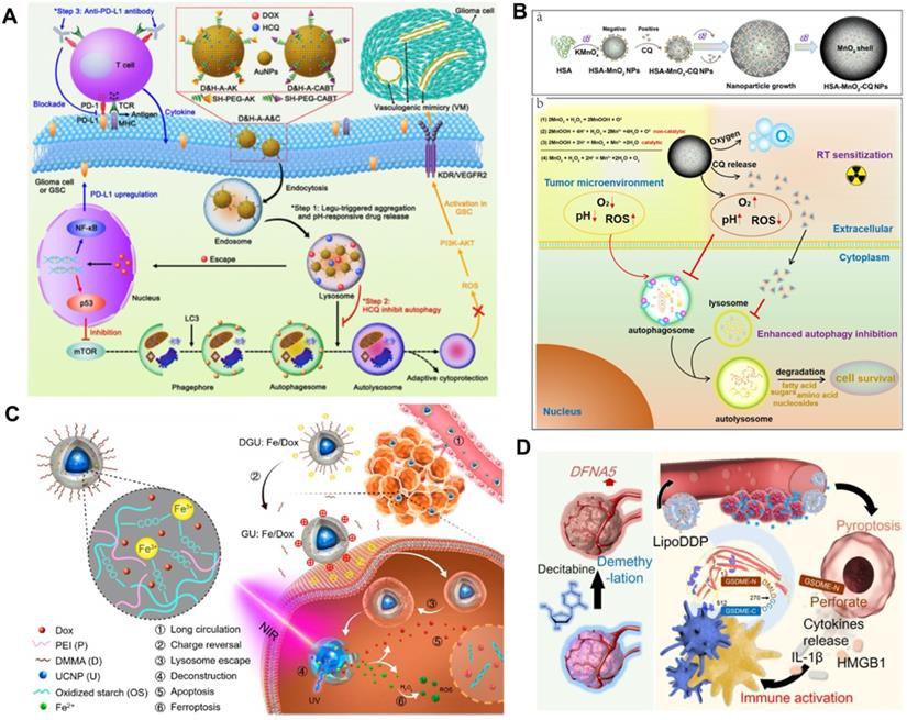 Targeting regulated cell death in tumor nanomedicines