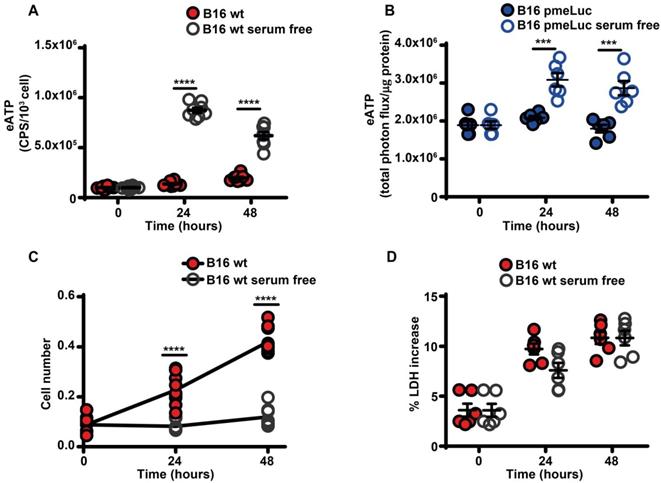 Extracellular ATP is increased by release of ATP-loaded microparticles ...