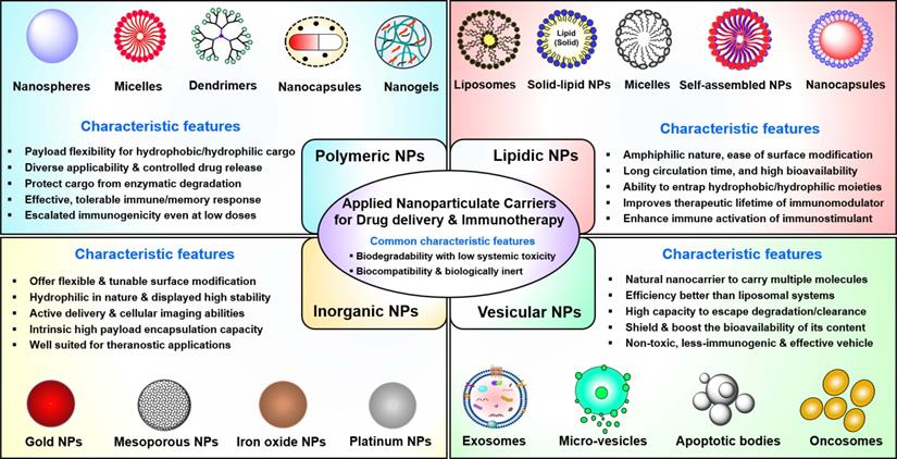 Nanocarriers for pancreatic cancer imaging, treatments, and immunotherapies
