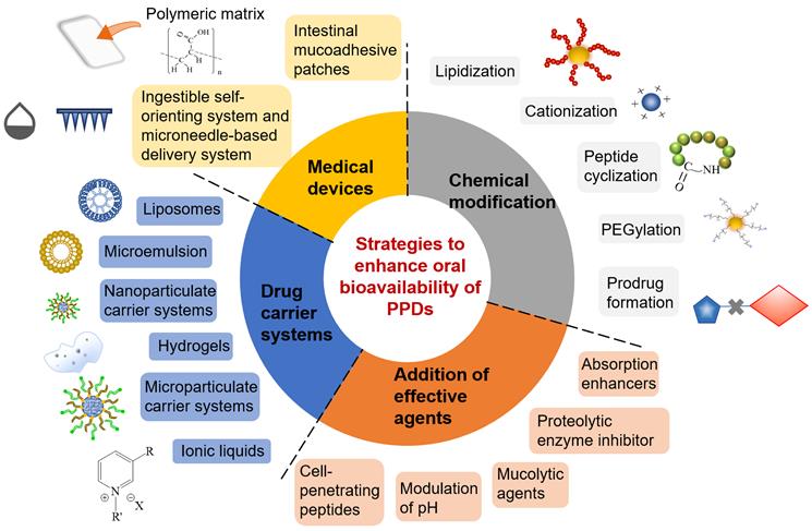 Oral delivery of protein and peptide drugs: from non-specific ...