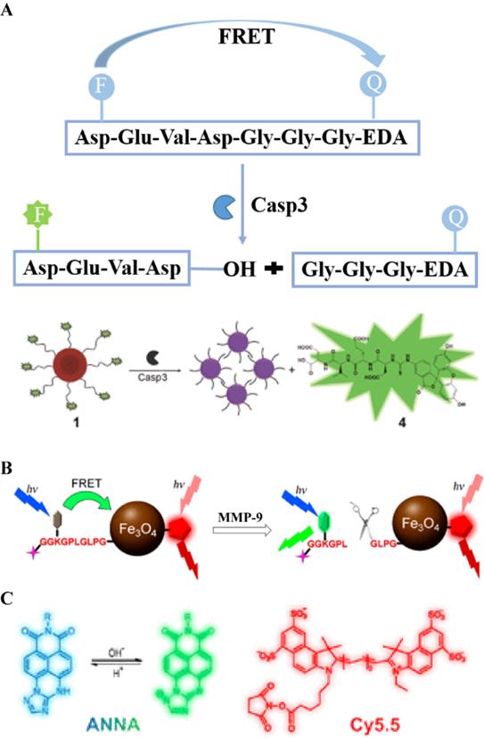 Activated molecular probes for enzyme recognition and detection