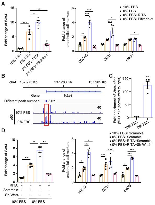 Wnt4 is crucial for cardiac repair by regulating mesenchymal ...