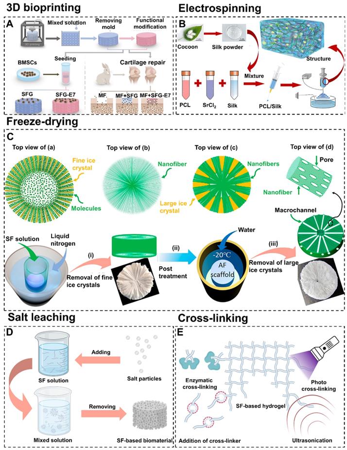 Silk fibroin-based biomaterials for cartilage/osteochondral repair