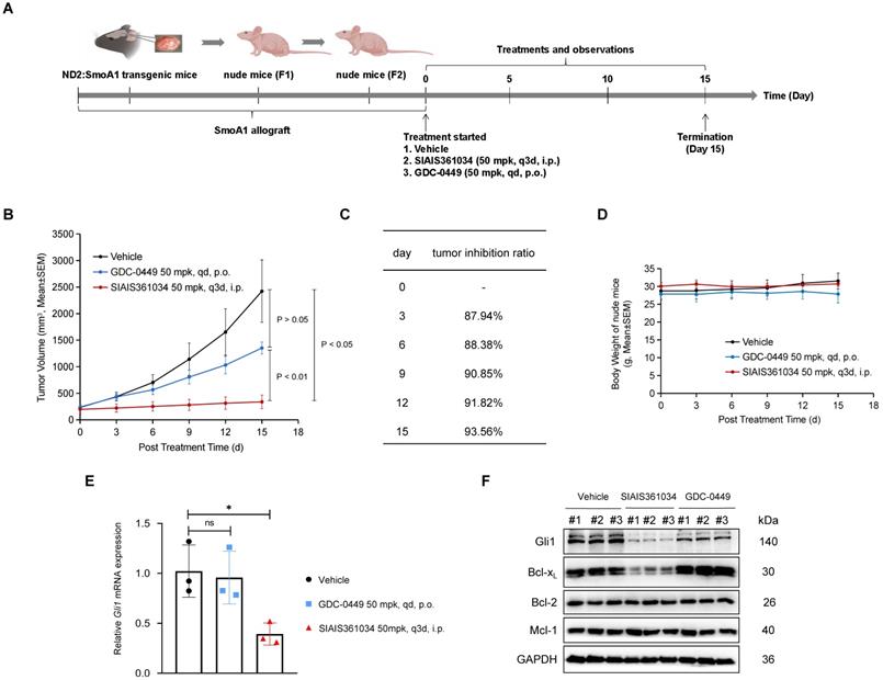 The PROTAC selectively degrading Bcl-xL represents a novel Hedgehog pathway inhibitor with ...
