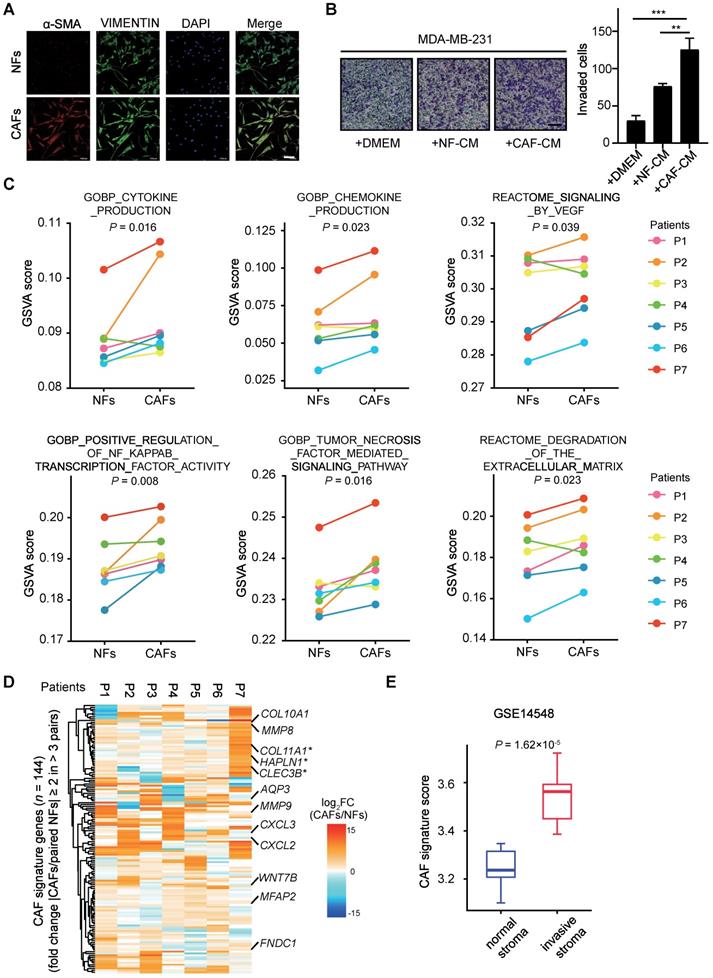 Enhancer reprogramming promotes the activation of cancer-associated ...