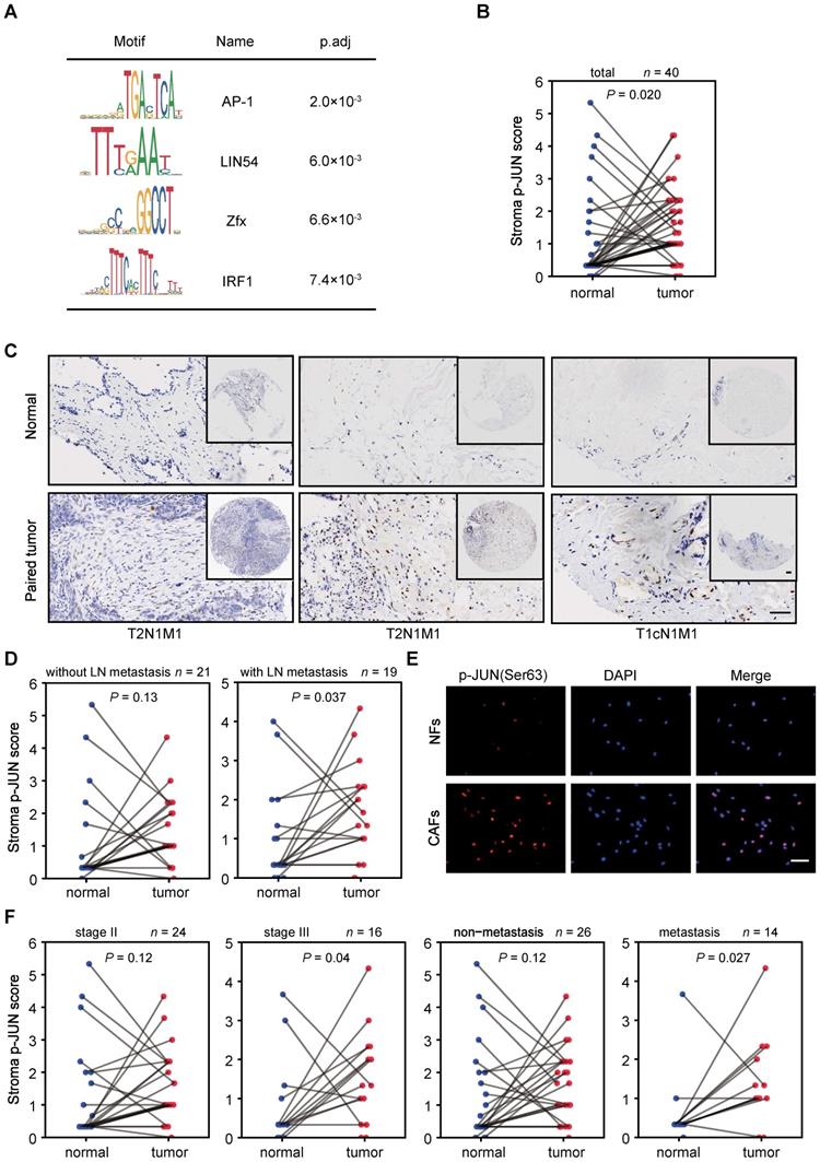 Enhancer reprogramming promotes the activation of cancer-associated ...