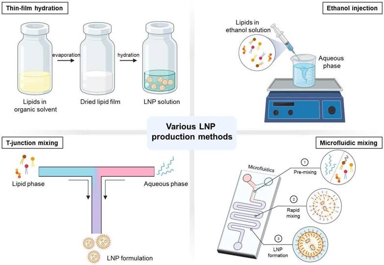 Lipid nanoparticles for delivery of RNA therapeutics: Current status ...
