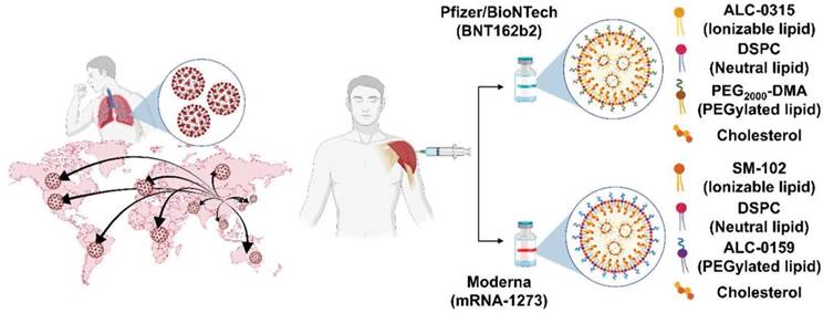 Lipid nanoparticles for delivery of RNA therapeutics: Current status ...