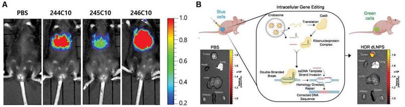 Lipid nanoparticles for delivery of RNA therapeutics: Current status ...