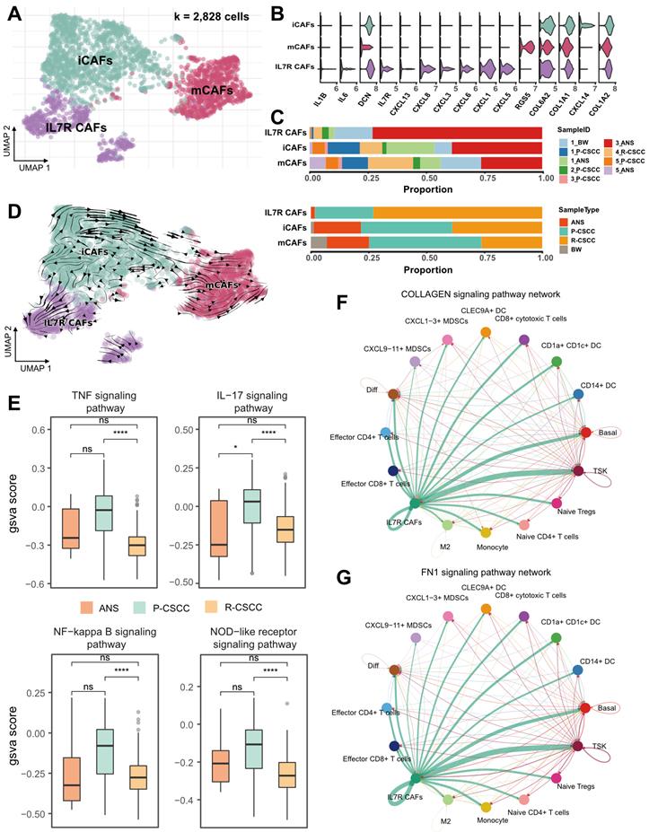 Signatures of EMT, immunosuppression, and inflammation in primary and ...