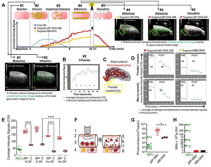 Janus USPION modular platform (JUMP) for theranostic ultrasound ...