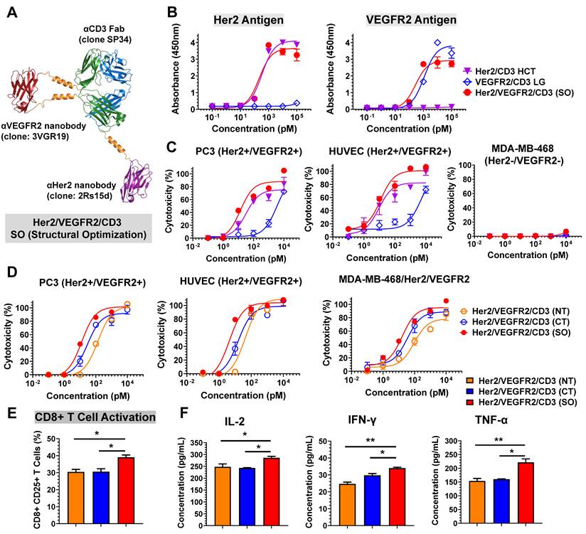 A Novel Her2/VEGFR2/CD3 trispecific antibody with an optimal structural ...
