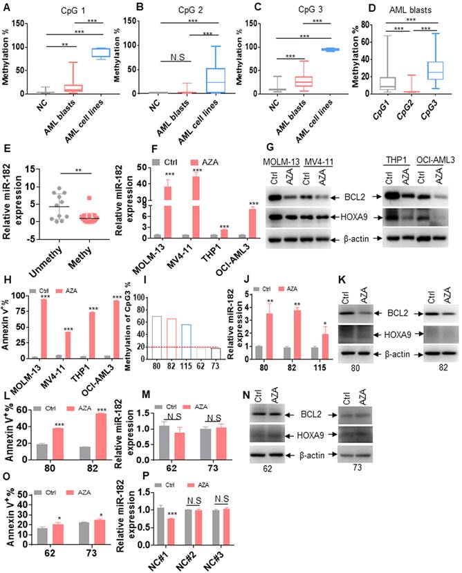 DNA hypermethylation-induced miR-182 silence targets BCL2 and HOXA9 to ...