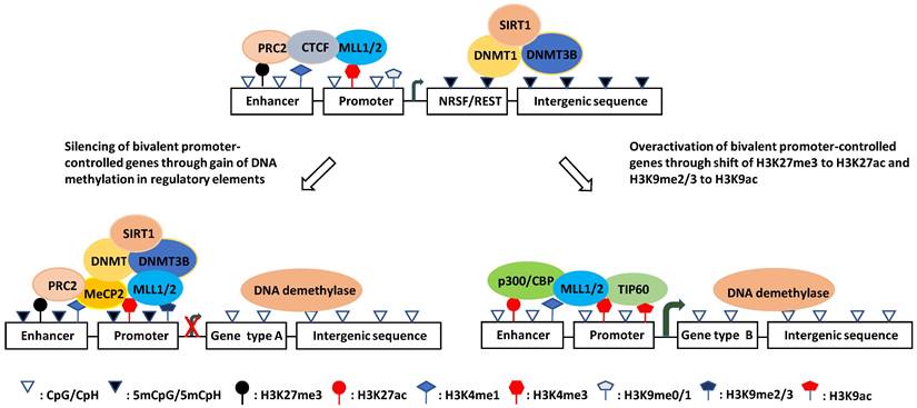 Role of primary aging hallmarks in Alzheimer´s disease