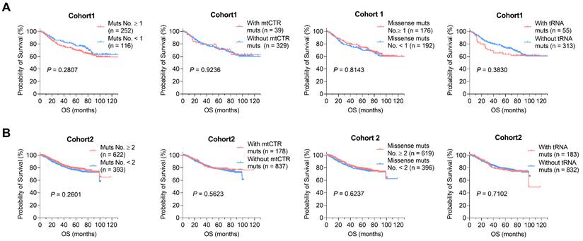 Mutational signature of mtDNA confers mechanistic insight into ...