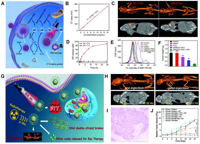 Nanomaterial-based CT contrast agents and their applications in image ...