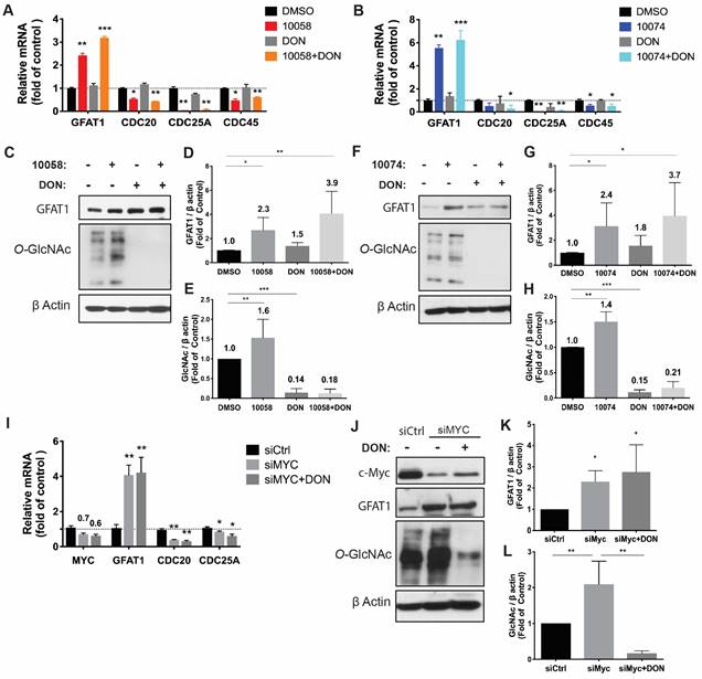 Improved antitumor activity against prostate cancer via synergistic ...