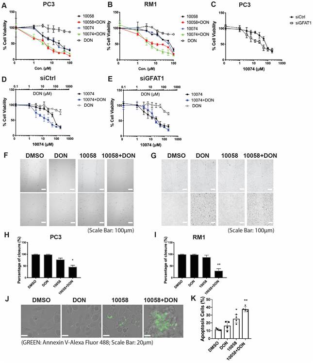 Improved antitumor activity against prostate cancer via synergistic ...