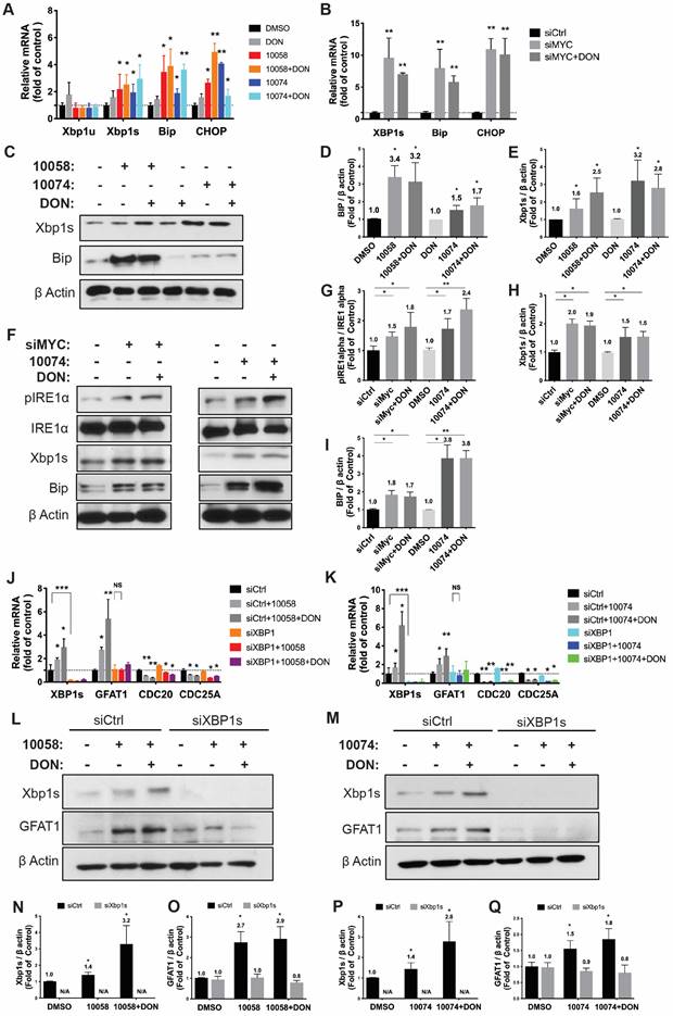 Improved antitumor activity against prostate cancer via synergistic ...