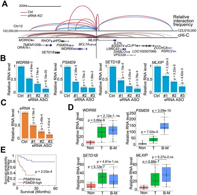 Enhancer RNA promotes resistance to radiotherapy in bone-metastatic ...