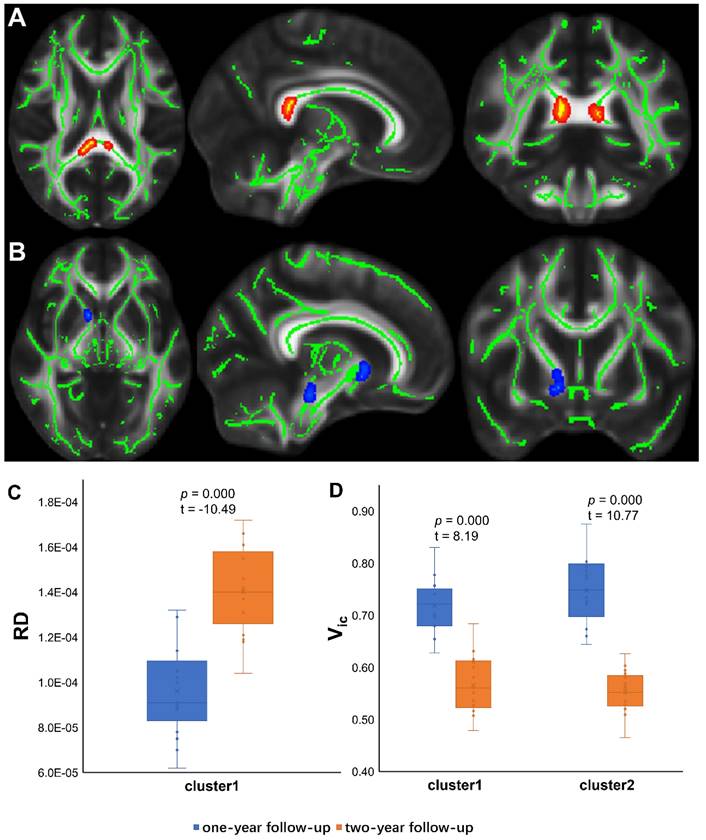 Dynamic white matter changes in recovered COVID-19 patients: a two-year ...