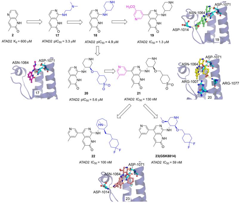 ATPase family AAA domain-containing protein 2 (ATAD2): From an ...
