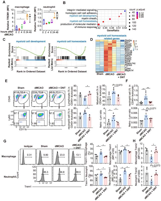 TCRαβ+NK1.1-CD4-CD8- double-negative T cells inhibit central and ...