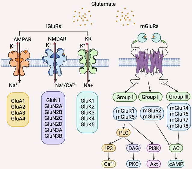 Exploring neurotransmitters and their receptors for breast cancer ...