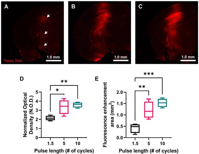 Using a novel rapid alternating steering angles pulse sequence to ...