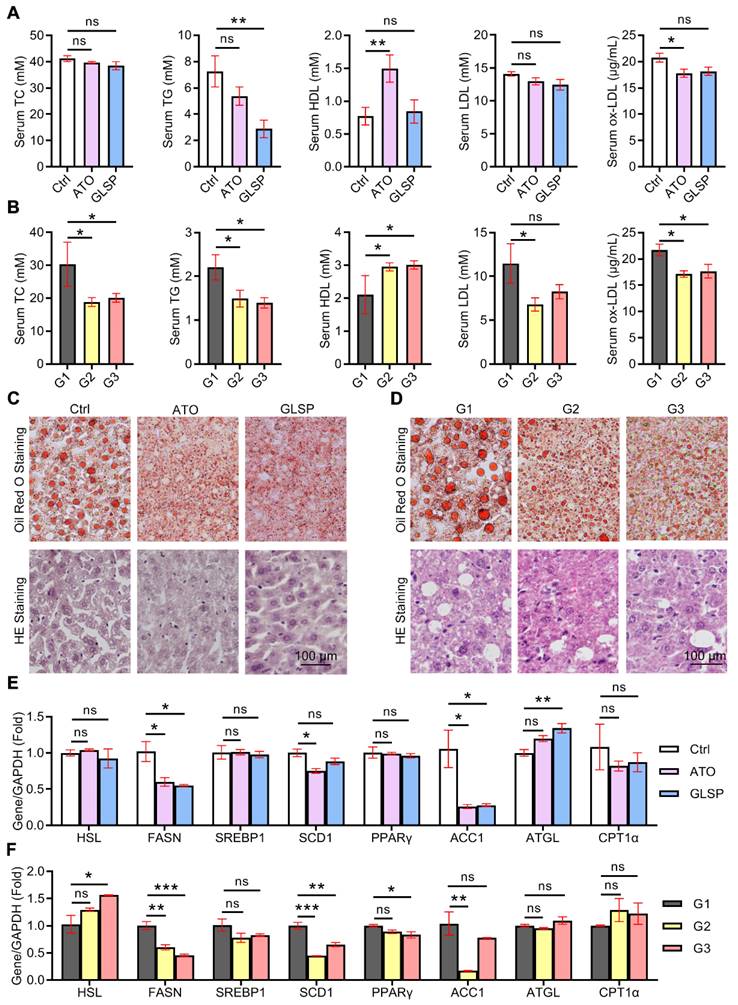 GLSP and GLSP-derived triterpenes attenuate atherosclerosis and aortic ...