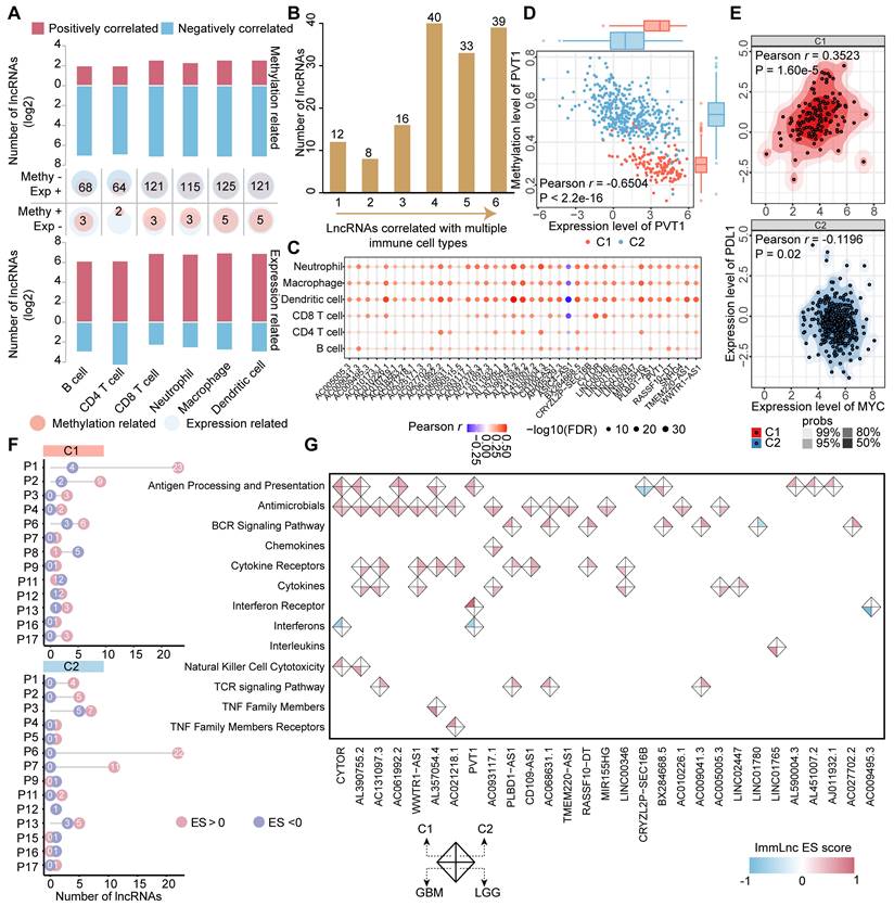 Epigenetically regulated lncRNAs dissect the intratumoural ...
