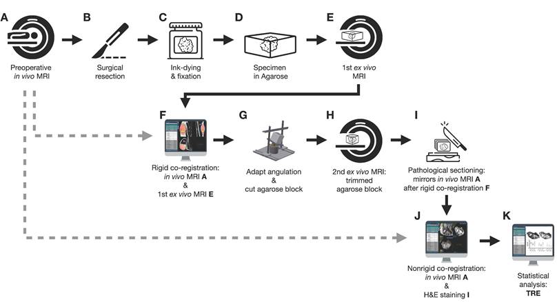 Multiparametric magnetic resonance imaging for radiation therapy ...