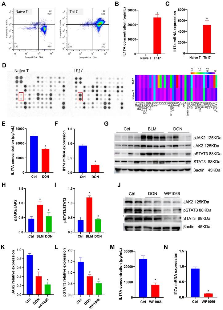 Inhibition of Th17 cells by donepezil ameliorates experimental lung ...