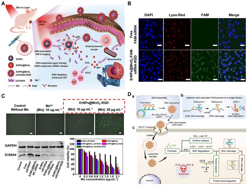 Multifunctional nanomedicines-enabled chemodynamic-synergized ...