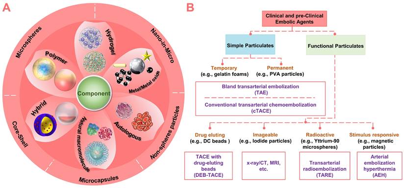 Bench-to-bedside development of multifunctional flexible embolic agents
