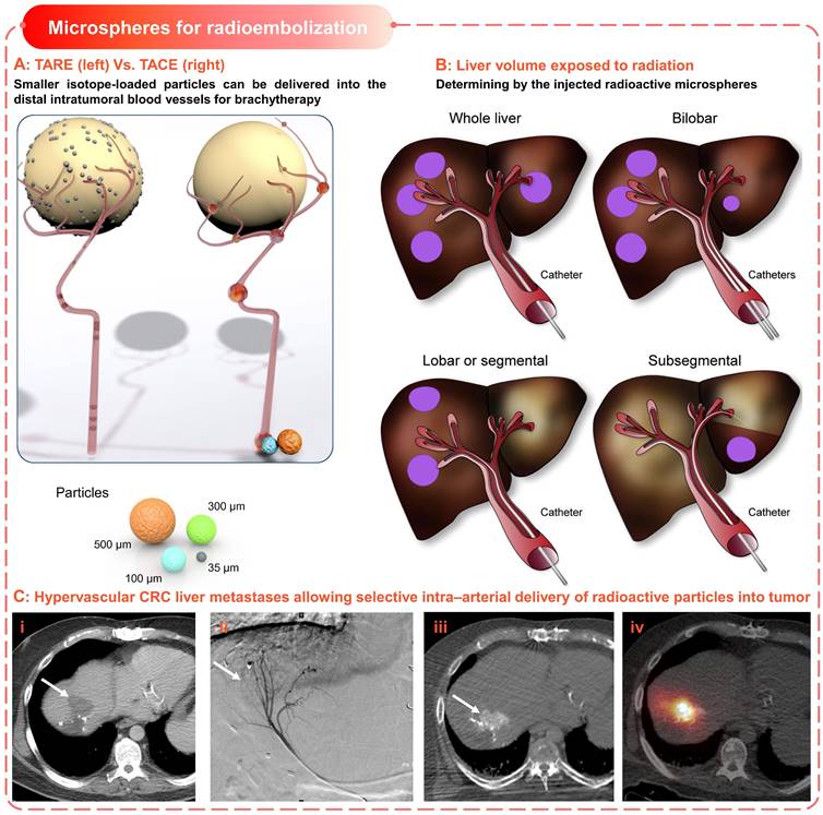 Bench-to-bedside development of multifunctional flexible embolic agents