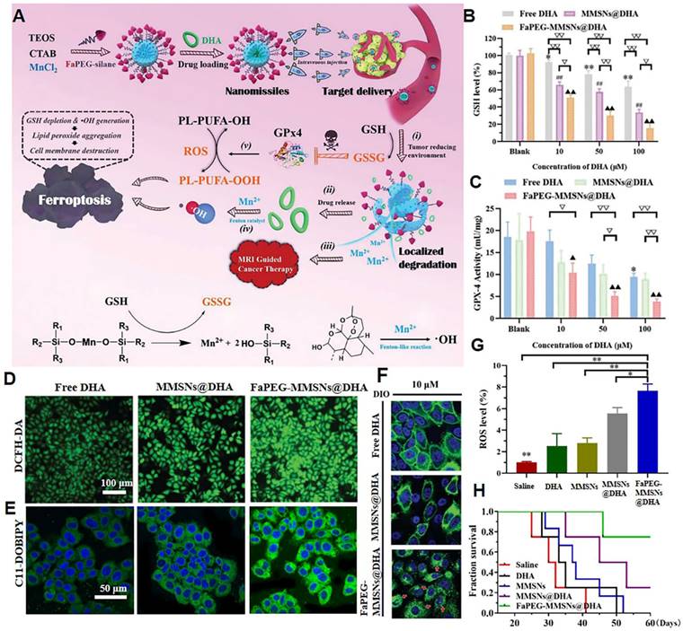 Perturbing plasma membrane lipid: a new paradigm for tumor nanotherapeutics