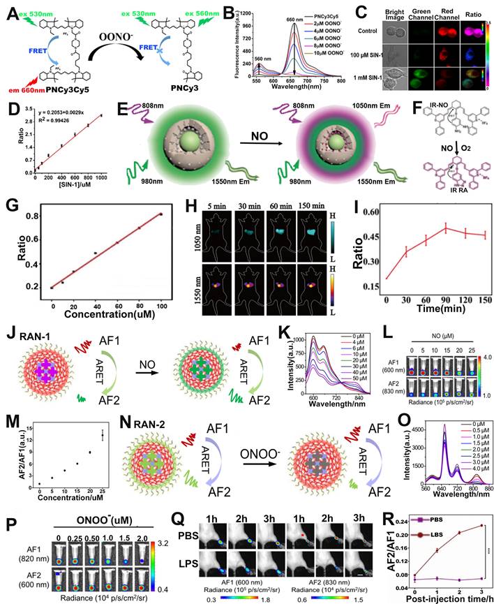 Ratiometric optical probes for biosensing