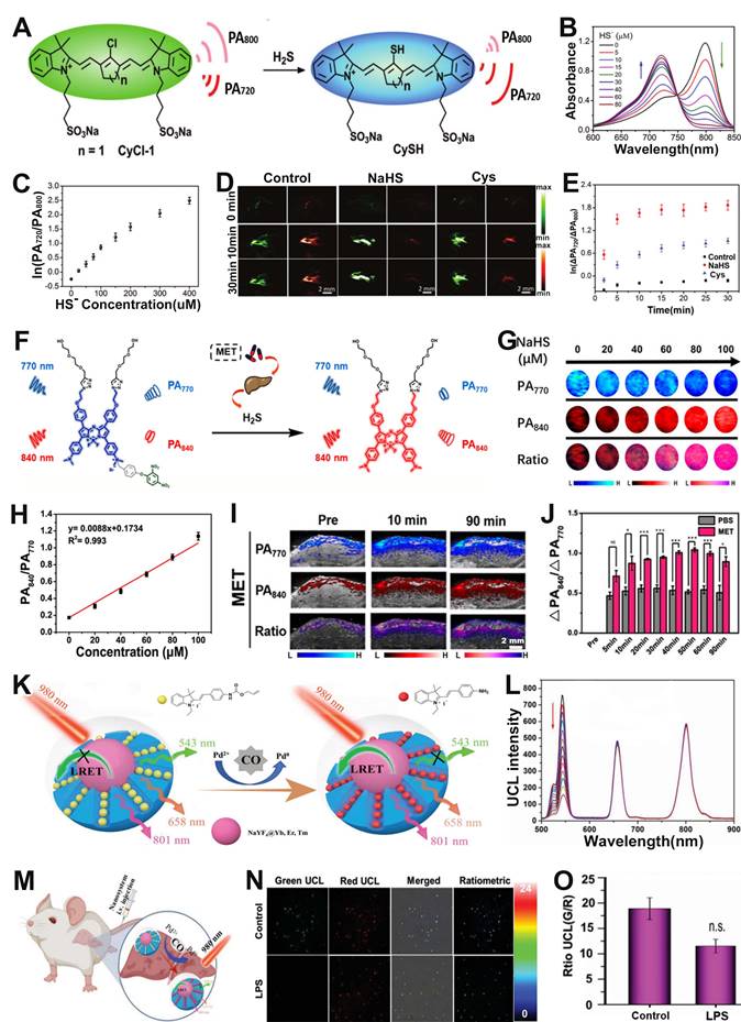 Ratiometric optical probes for biosensing