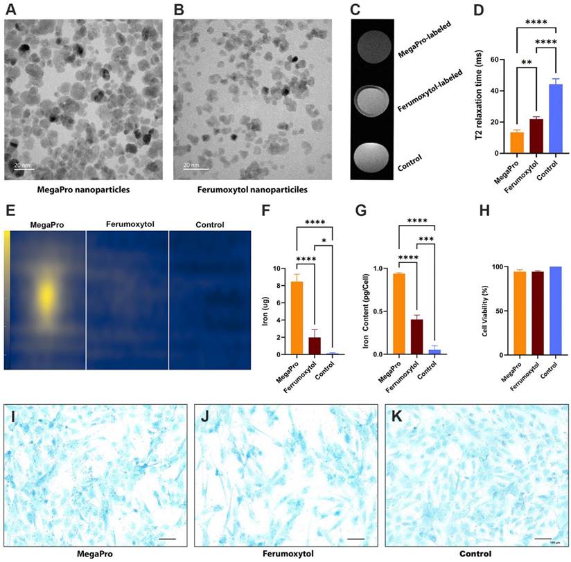 MegaPro, a clinically translatable nanoparticle for in vivo tracking of ...