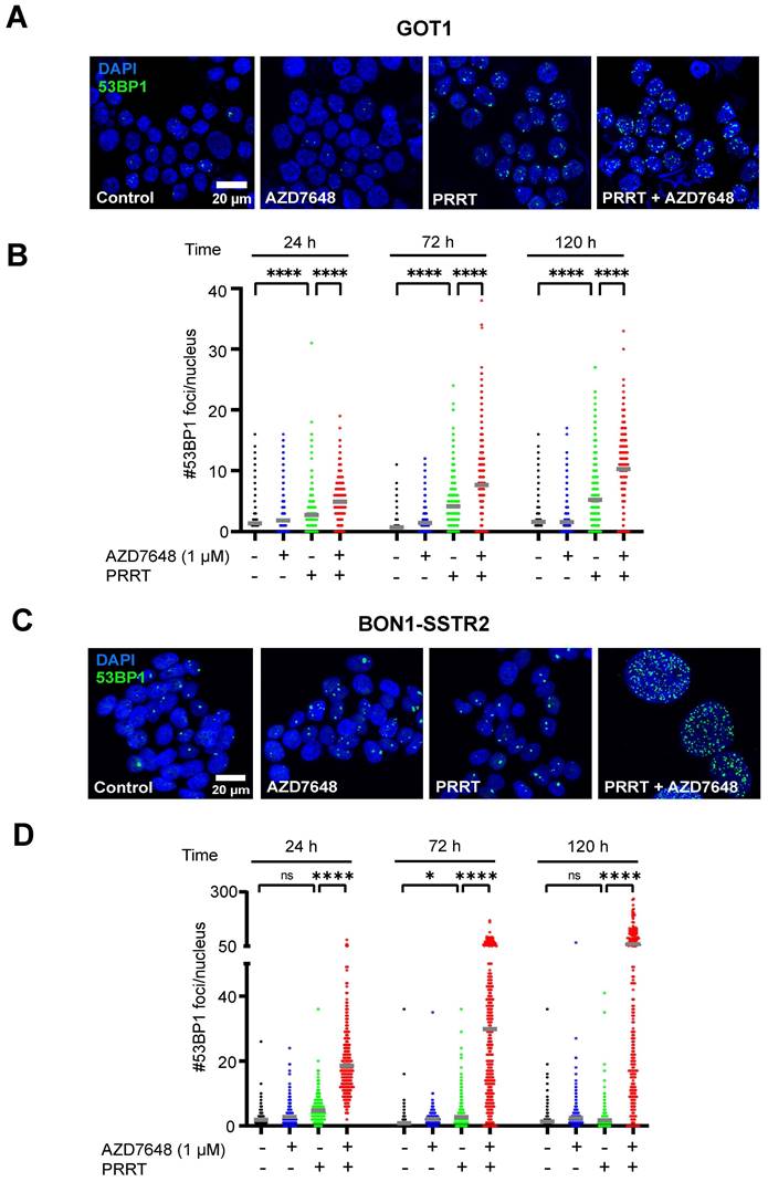 DNA-PKcs inhibitors sensitize neuroendocrine tumor cells to peptide ...