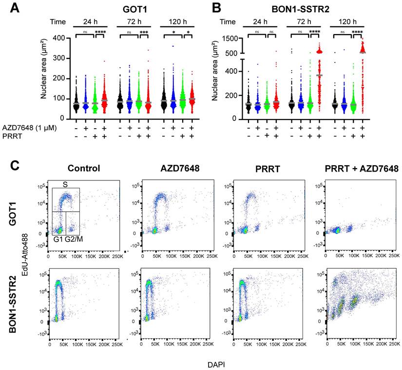 DNA-PKcs inhibitors sensitize neuroendocrine tumor cells to peptide ...