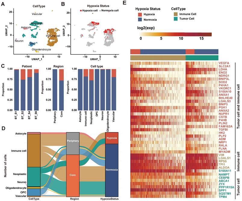 Single-cell RNA sequencing identifies critical transcription factors of ...