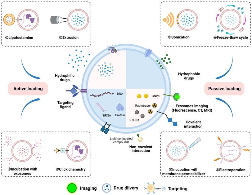 Engineering strategies and optimized delivery of exosomes for ...