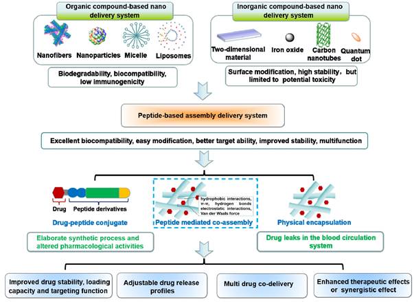 Peptide-drug co-assembling: A potent armament against cancer