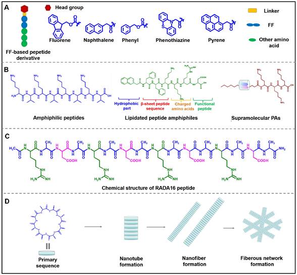 Peptide-drug co-assembling: A potent armament against cancer